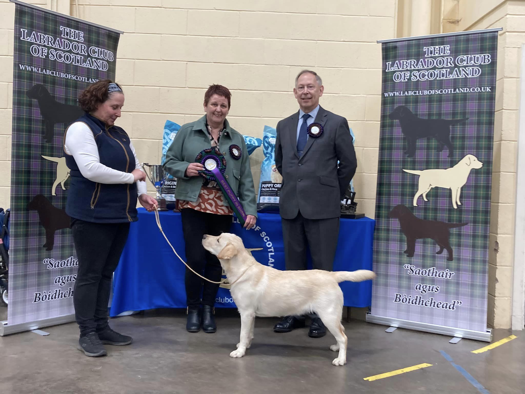 The Labrador Club of Scotland