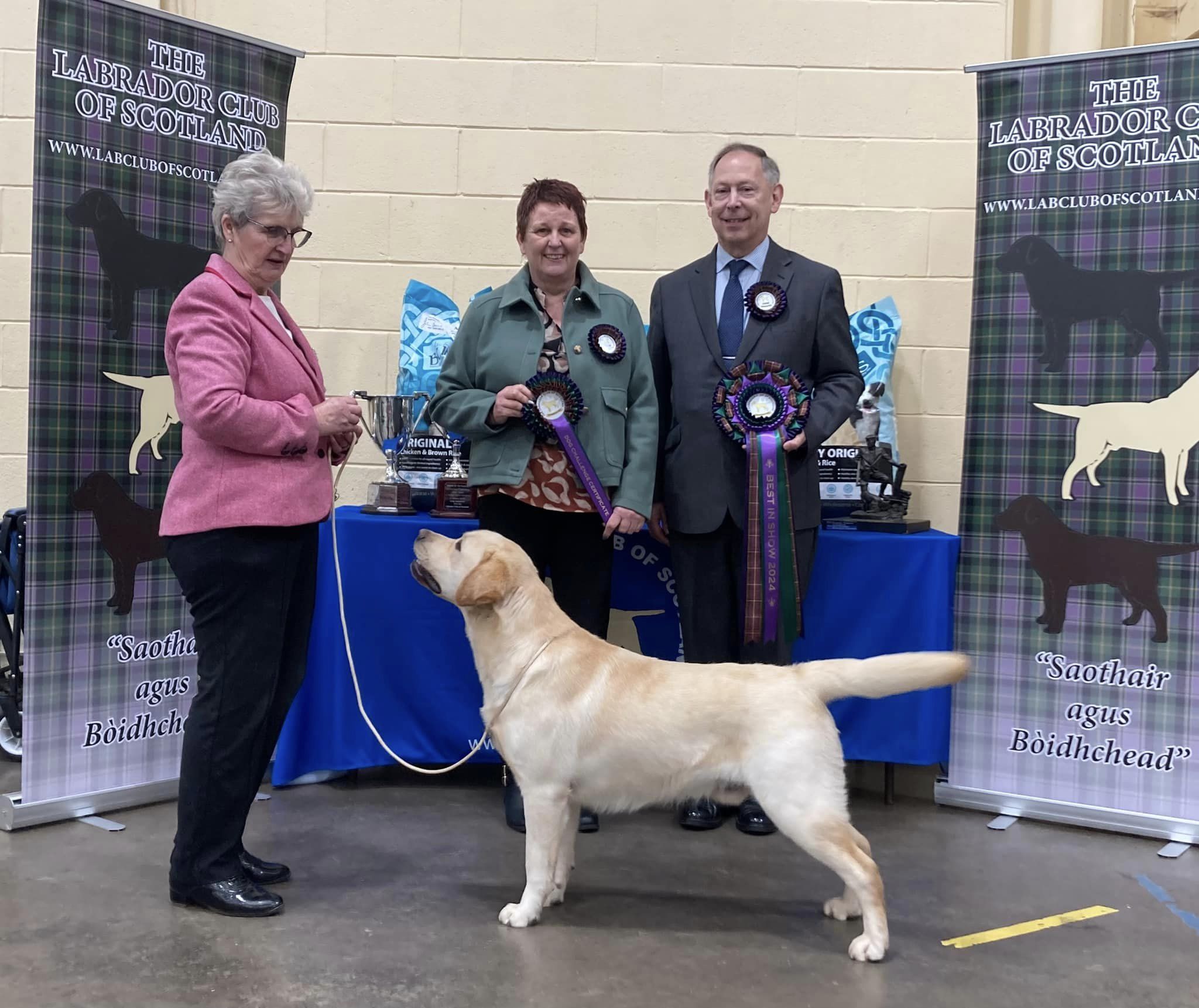 The Labrador Club of Scotland