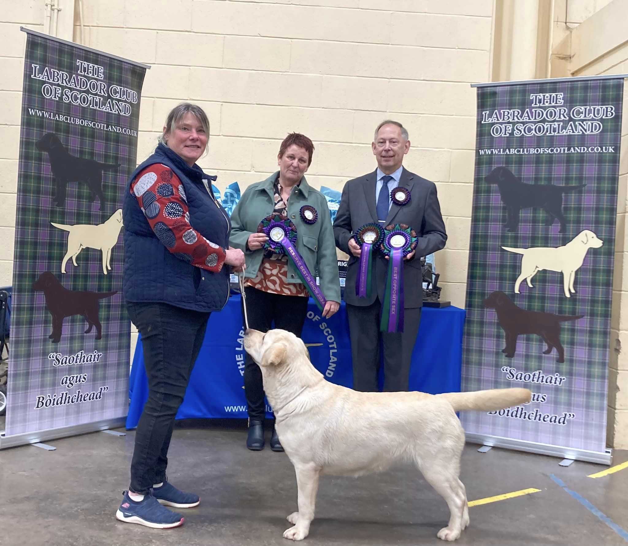The Labrador Club of Scotland