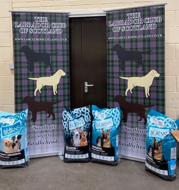 The Labrador Club of Scotland